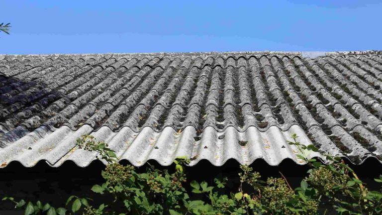 🛠️ Déménagement de l'Amiante : Guide Pratique pour une Toiture Saine 🌿